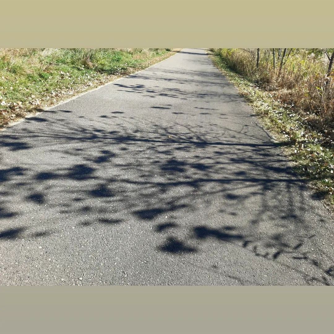 Shadow Walk – West Seventh Freelance